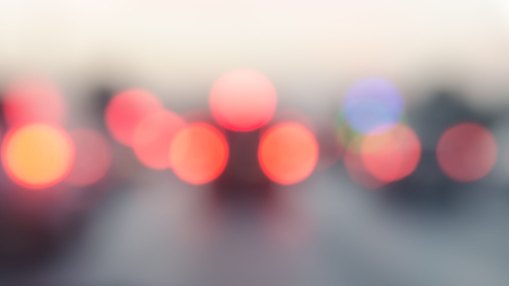 Client Support Programme and Initiatives - Fleet Service GB